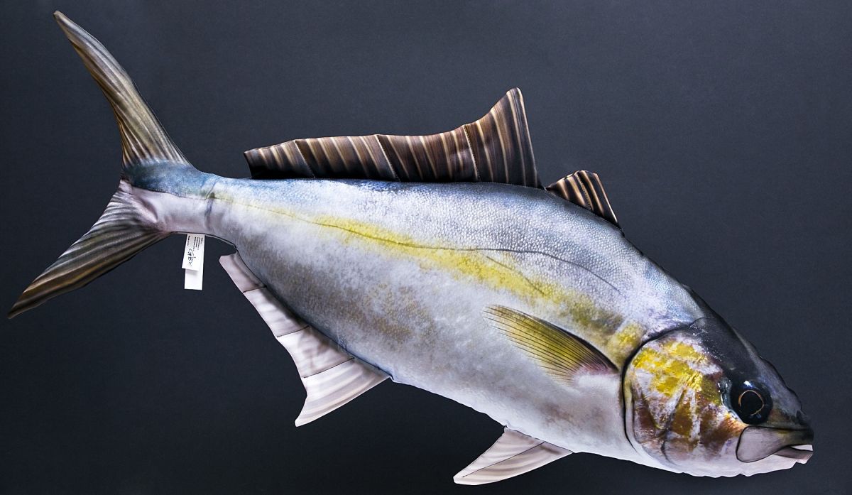 Gaby Stor Ravfisk - tøjdyr - Fiskebamser og Trofæer - EFFEKTLAGERET ApS